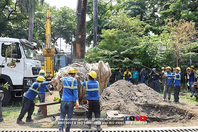 SMC: SALEX tree cutting chosen over community displacement | AutoIndustriya