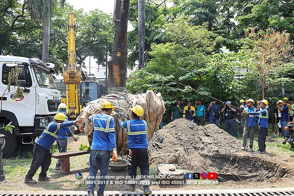 SMC: SALEX tree cutting chosen over community displacement | AutoIndustriya